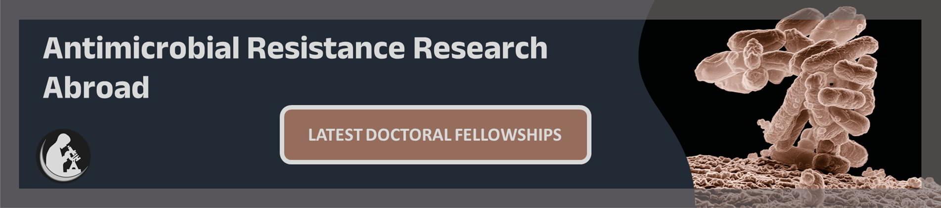 PhD Position in Antimicrobial Resistance Research: Scholarships ...