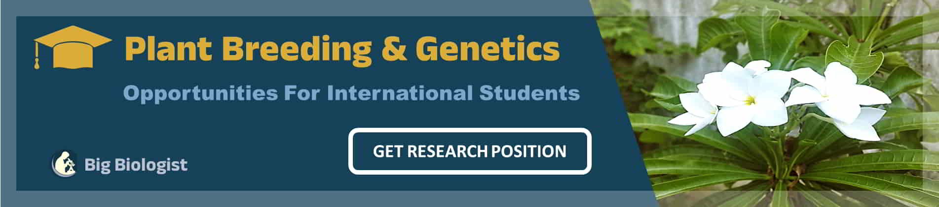 Postdoc in Plant Breeding & Genetics: Fellowships, Positions, Jobs - Big Sciences