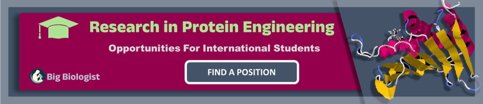 PhD in Protein Engineering: Projects, Fellowships, Positions, Scholarships - Big Sciences
